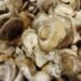 Shiitake mushrooms (Pyogo-beoseot) - Maangchi’s Korean cooking ingredients