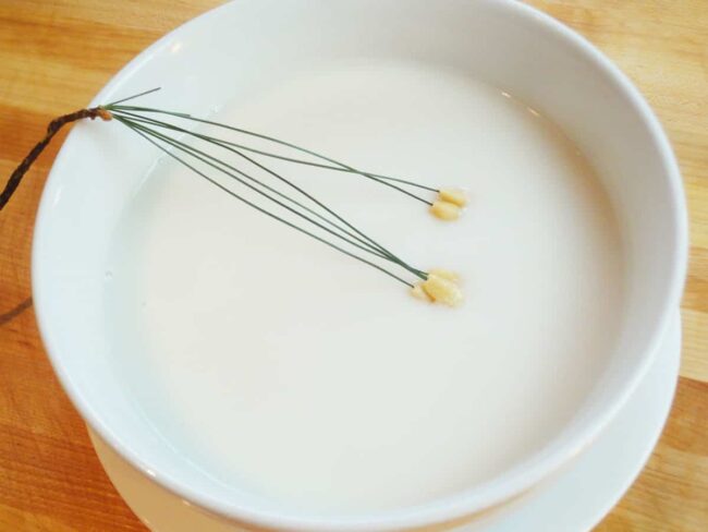 Pine nut porridge (Jatjuk) recipe by Maangchi