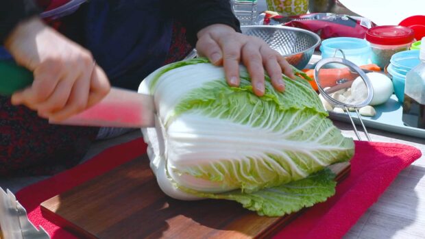 Quick, fresh kimchi (Baechu-geotjeori: 배추겉절이) recipe by Maangchi